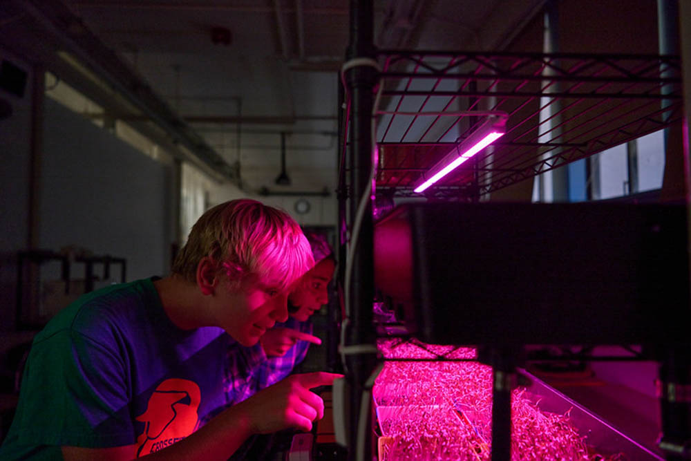 Collaborative Learning Facilitator Workbook: Planning Spark Tool – Oregon Instructional Frameworks